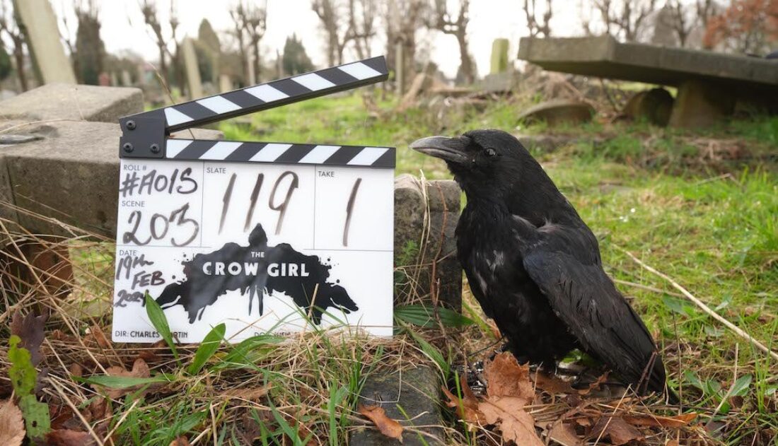 Recent Credits - Patchway Studios